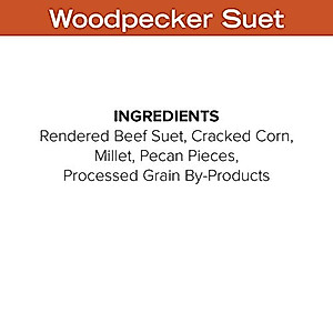 Blue Seal Woodpecker Bird Suet Cake | No Mess Wild Bird Suet | 11oz (12 Pack)