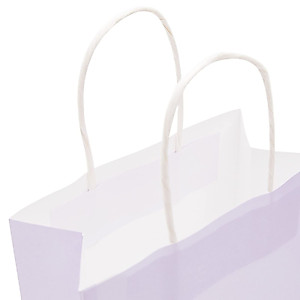 Juvale Pastel Paper Gift Bags with Handles for Goodies, Baby Shower, Party Favors (25 Pack, 5 Colors, 8.5 x 6.2 x 3.1 in)