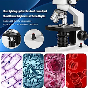 40X-2000X Compound monocular Microscope with Microscope Slide Set, Cell Phone Adapter, Dual LED Illumination Powerful School Home Education biomicroscope， 2MP USB Camera