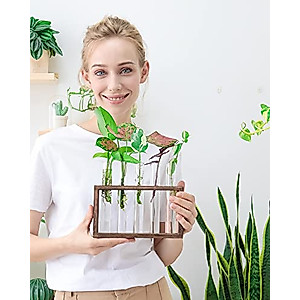 Ivolador Wall Mounted Hanging Plants Terrarium Test Tube Flower Bud Tabletop Glass Wooden Stand with 5 Test Tube Perfect for Propagating Hydroponic Plants Home Garden Wedding Decoration
