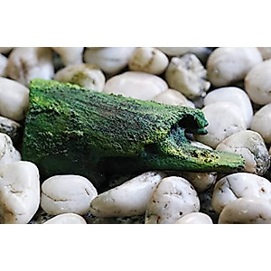 1shopforyou Random Selection Reptile Amphibian Habitat Decorative Garden Stakes 5X10 CM