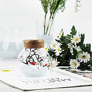 Oubest 300Pcs Small Glow in The Dark Rocks Garden Pebbles Fish Tank Decorations Stones Aquarium Gravel Garden Planter Rocks-White