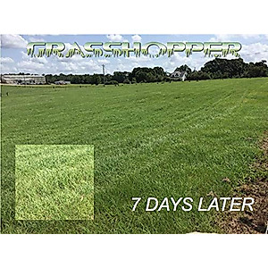 Grasshopper 19-19-19 Foliar Fertilizer