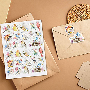 Current Watercolor Birds Sticker Variety Pack - 2 Sheets, 52 Assorted Stickers for Kids, Teachers, School, Scrapbooking, Journals, Monthly Planners, Calendars, Holiday Crafts & Greeting Cards