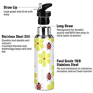 xigua Ladybug Water Bottle Double Walled Stainless Steel Leak Proof Thermo Flask for Sports Gym Cycling Outdoor,20 oz.