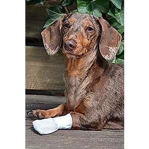 PawFlex Medimitt Paw Bandages for Dogs, Cats and Pets Medical Booties, First aid for Paws Non Slip, Non Adhesive, Breathable,Disposable, Washable, Adjustable Strap, Value Pack (X-Small 12-Pack)