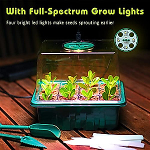 KENNEDICH Seed Starter Tray, 5 Pack Seeding Starter Growing Kit with Light, Grow Trays for Seeds Starting, Indoor Gardening Plant Germination Trays with Adjustable Humidity and 4" Heigher Cover