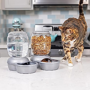 Petmate Replendish Gravity Waterer Cat and Dog Water Dispenser 0.5 GAL, Blue