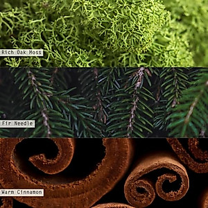 ILLUME Balsam & Cedar Mercury Ornament Candle