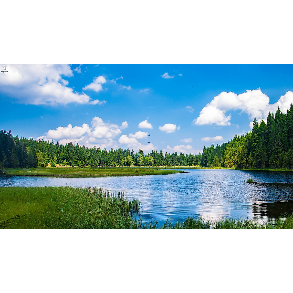 Newest Family Holiday Gaming for GP Bundle