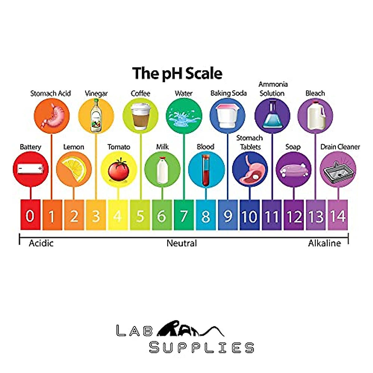 Plastic pH Test Strips, Universal Application (pH 0.0-14.0, 0.5 pH Intervals), 100 Strips