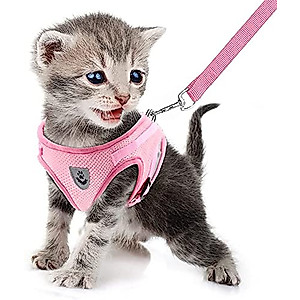 FEimaX No Pull Dog Harness and Leash Set, Soft Mesh Adjustable Lightweight Puppy Harnesses with Reflective Strap, Escape Proof Small Dog Cat Vest for Outdoor Walking