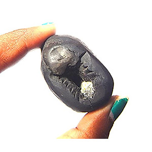 XUETZALCOATL Adwaitya Krishna Pradyumn Anirudh Maha Vishnu Shaligram Nepal Kali Gandaki