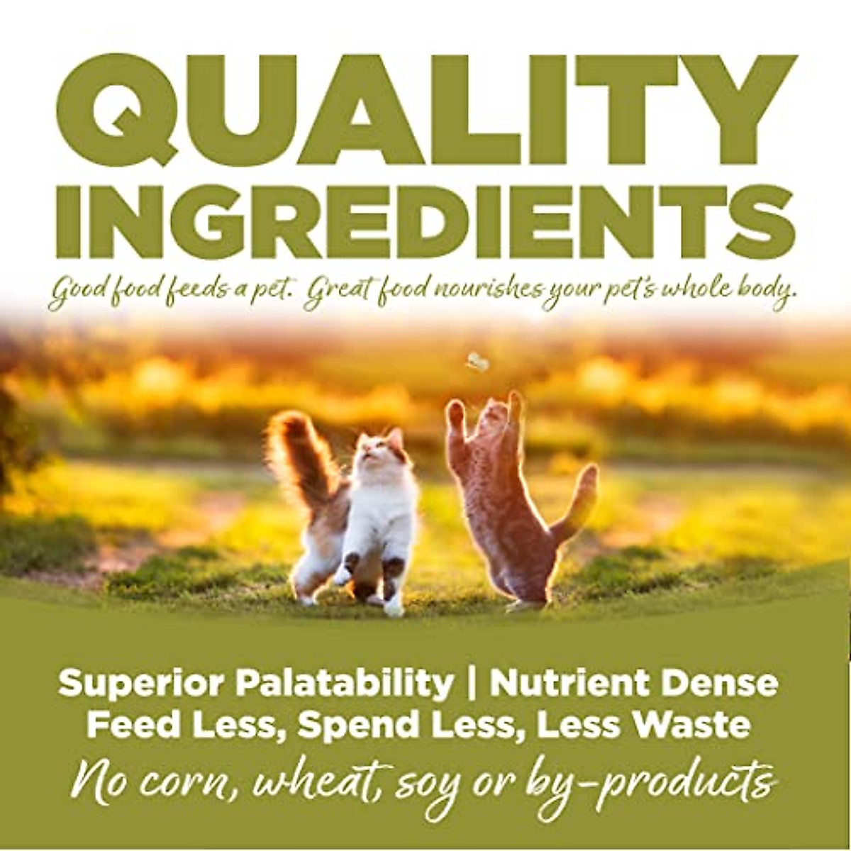 NutriSource Senior Cat Food, Made with Chicken and Rice, Weight Management Blend, with Wholesome Grains, 6.6LB, Dry Cat Food