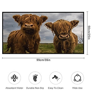 TsyTma Cute Wild Highland Cows Kitchen Rugs Floor Mats Washable Non-Slip Bathroom Rug Runner Kitchen mats for Floor Laundry Room Mat Western Kitchen Decor 39x20 Inch