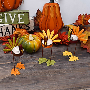 Decorative Candle Holder Thanksgiving Turkey Decorations Set of 3, Metal Turkey Home Decor Accent Rustic Tealight Candle Holder Centerpiece for Dining Room Table, Coffee Table Decor