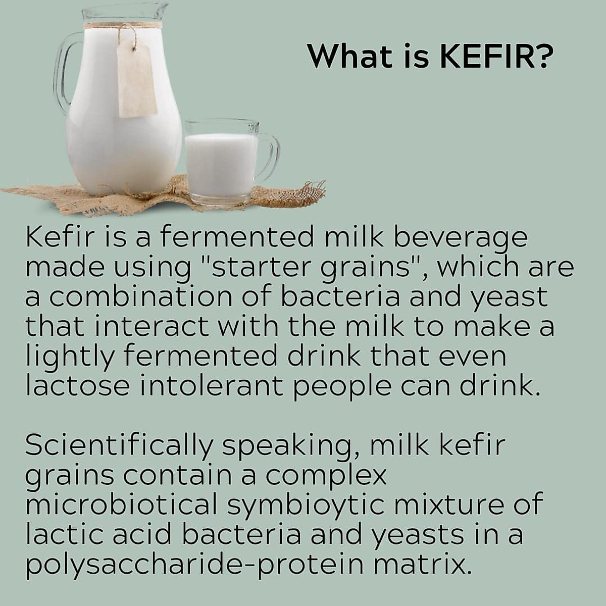 Kefir, Kefir Grains, Scoby, Milk Kefir Grains, Live Starter, Cultures, Bulgaros de Leche, Bulgarian Milk Kefir Grains, Kefir Strainer, Works w/Whole Milk, Coconut Milk, Almond Milk, Oat Milk