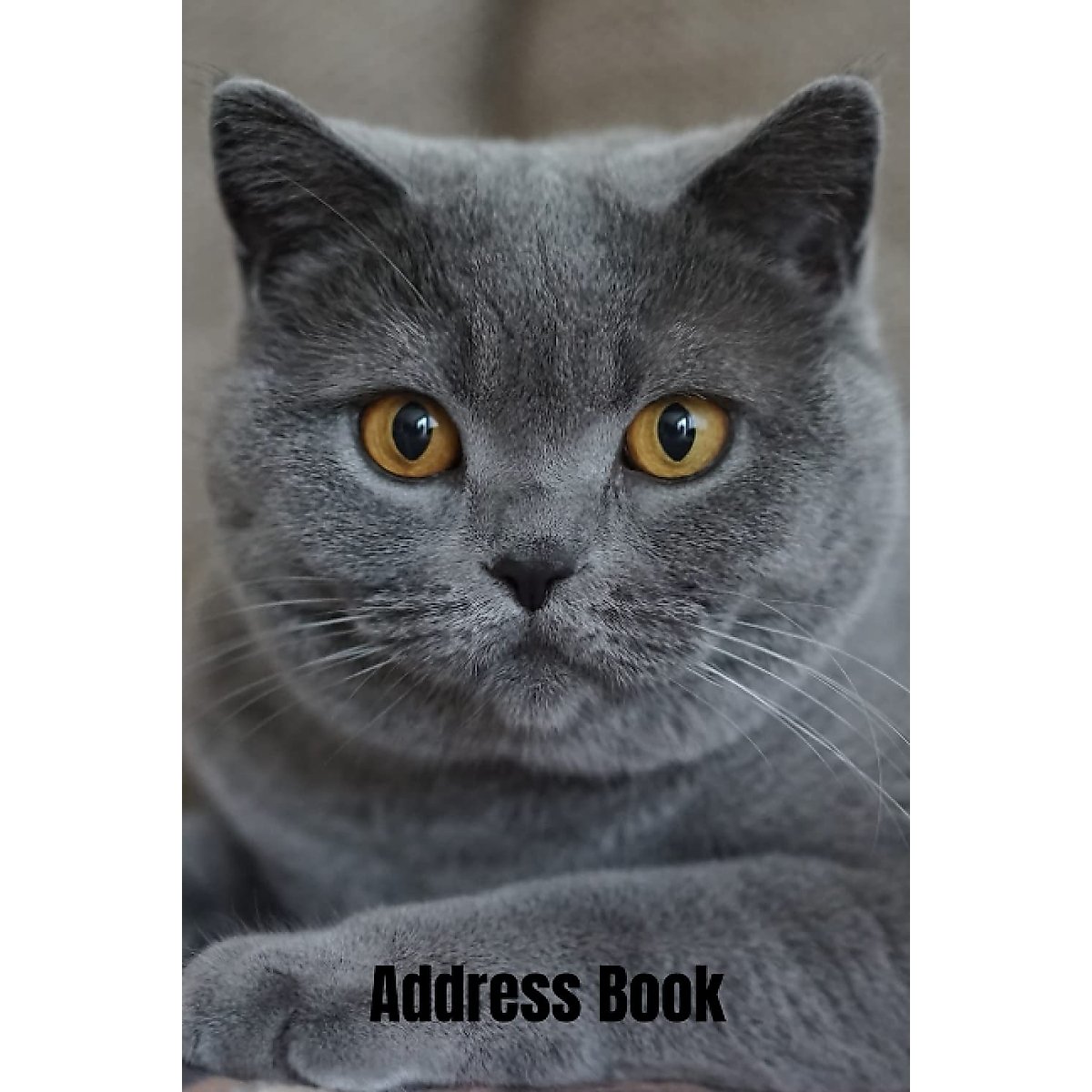 Address Book: Cat theme. Personal address book with space for 525 contacts .Record names, addresses, home, mobile,work, fax e-mail addresses.a5 size