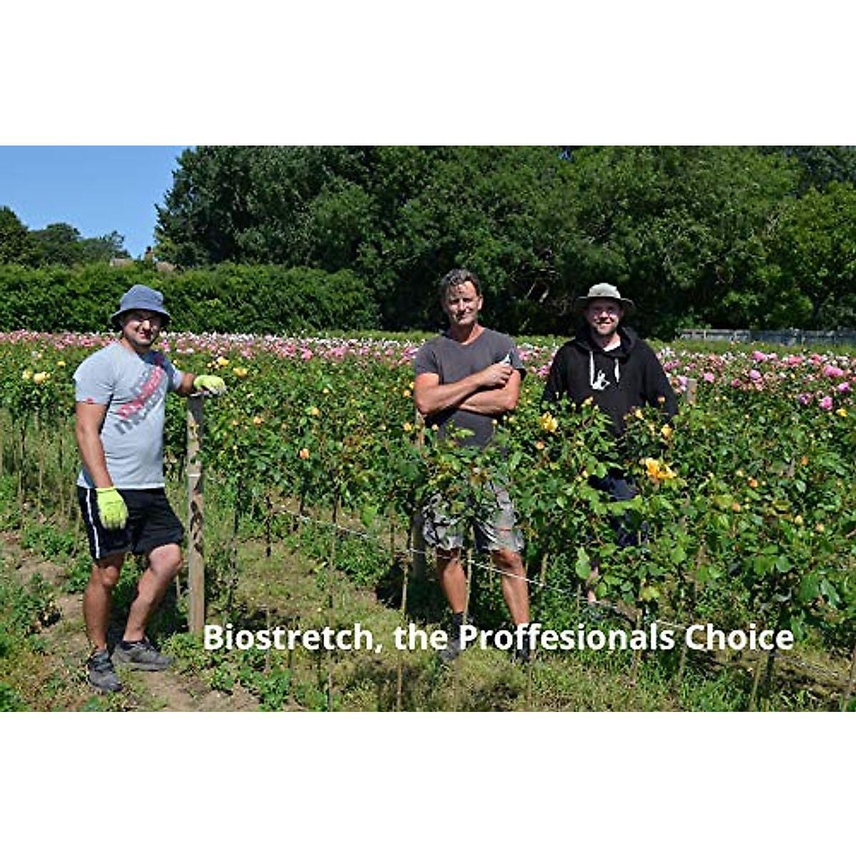 Biostretch Extra Wide Tree Ties and Large Plant String | Environmentally Smart Soft Green Plant Support and Garden Twine (Bio Extra Wide 26 ft / 8M)