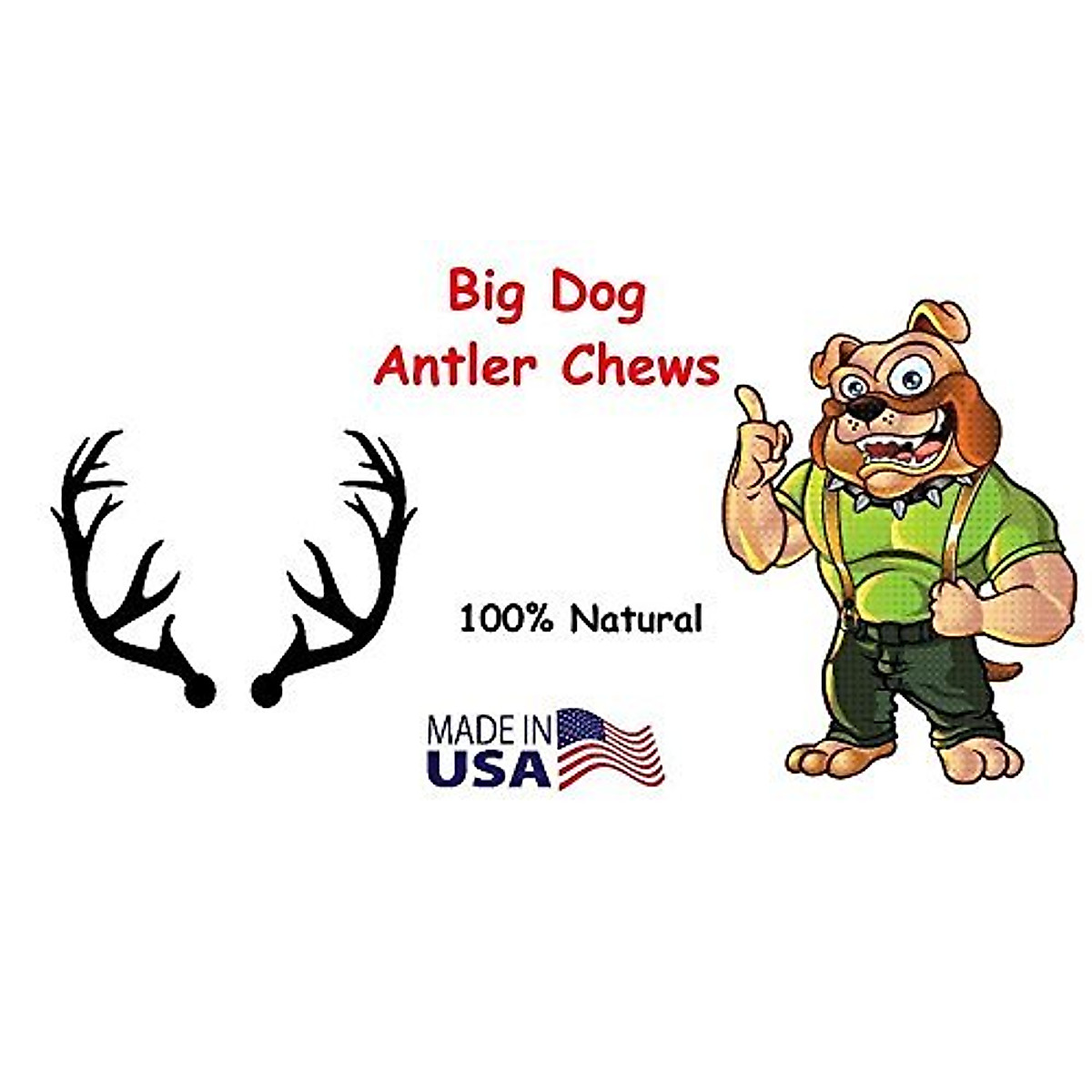 Big Dog Antler Chews - Deer Antler Dog Chew, Medium, 9 Inches to 13 Inches Long. Perfect for Your Medium to Large Size Dogs and Puppies! Grade A Premium. Happy Dog Guarantee!