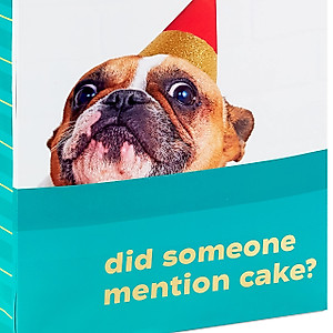 Hallmark 13" Large Birthday Gift Bag with Birthday Card and Tissue Paper (Dog, Did Someone Mention Cake?) for Kids, Parents, Coworkers, Friends