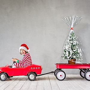 Tatuo 10 Pieces Easter Clear Basket Bags Cellophane Wrap Plastic Bag for Gifts Teachers Students Friend Gifts Baskets Party Festivals, 30 x 44 Inch