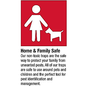 Cockroach Glue Trap by Catchmaster - 6 Count, Ready to Use Indoors. Spider Scorpion Insect Bug Trap Sticky Adhesive Long-Lasting Print Design Fold-able Poison-Free Non-Toxic - Made in The USA