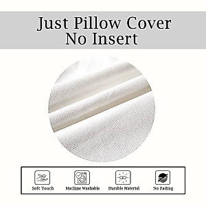 Castle Fairy Horseshoe Reversible Print Pillow Cover 18"x18" for Bed or Sofa,Rustic Vintage Wooden Board Pack of 2 Cushion Cover,White Daisy Flower Single Pack Couch Pillow Cover