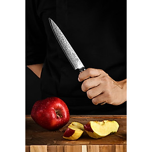 FANTECK Utility Knife 6 Inch, Japanese Damascus Kitchen Petty Knife, VG10 67 Layer Pro Razor Sharp Cutting Fruit Carving Chef’s Paring Knives with Sheath& Gift box, Ergonomic Pakkawood Handle