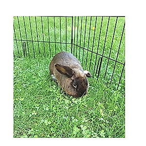 Bunny Rabbit Pen Exercise Indoor 41-Inch with Door House Pet Dog 8 Panel Gate Yard Enclosure X Pen Xpen Fence Playpen & by OISTRIA