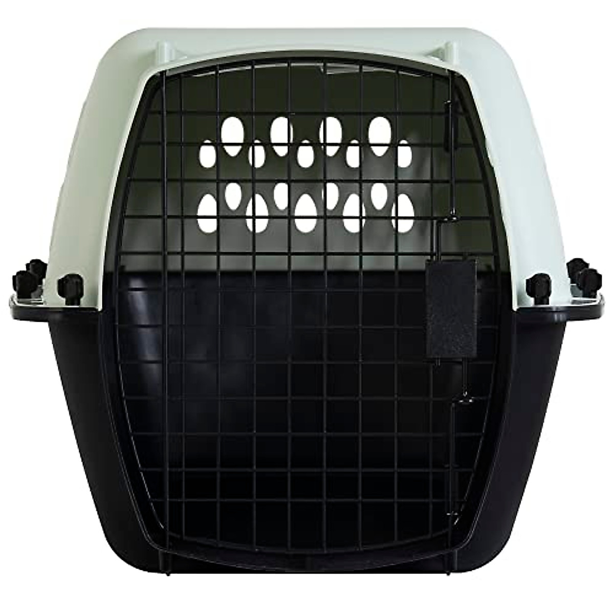 ASPEN PET Fashion Dog Kennel, Various Sizes