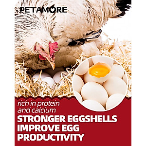 Dried grubs for Chicken -Alternative to Dried mealworms for Chickens-Dried Black Soldier Fly Larvae for Laying hens Backyard Flock Party Poultry, Fowl, Reptiles, Amphibian etc