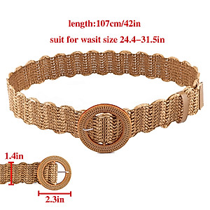 Ayliss Straw Woven Elastic Stretch Waist Belt Fashion Women Skinny Dress Belt Waist Dress Band straw woven bohemian belt (Khaki #1)