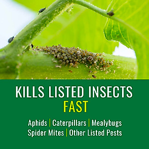 Natria Tomato, Vegetable & Fruit Insect Control, Ready-to-Use, 24 oz