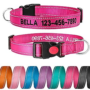 Personalized Dog Collar - Reflective Custom Embroidered with Pet Name and Phone Number for Boy and Girl Dogs, 4 Adjustable Sizes, XSmall,Small, Medium and Large