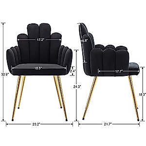 Lei Yu Shunzhi Modern Velvet Dining Chairs Set of 2 Upholstered Leisure Gold Legs Arm Chairs Guest Chairs Skin-Friendly Side Chairs Comfy Vanity Chair for Makeup Room/Bedroom/Living Room, Black, 2PCS