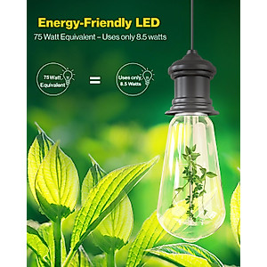 Sunco 4 Pack Vintage LED Edison Bulbs, 75W Equivalent 8.5W, 1000 LM, Dimmable ST58 Filament, 3000K Warm White, E26 Medium Base Clear Glass Light Bulbs