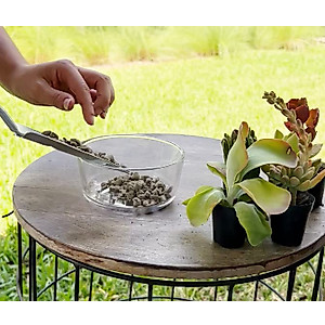 Pure Icelandic Potting Pumice, 10 lbs (8.5 quarts)