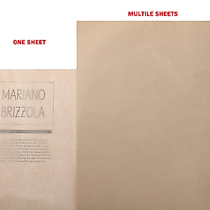 Packanewly Bulk Gift Wrapping Tissue Paper, 100 Sheets Kraftt Brown, 15 x 20 Inch Gift Wrap Paper for Art Craft Festival Birthday Party Floral Pompom