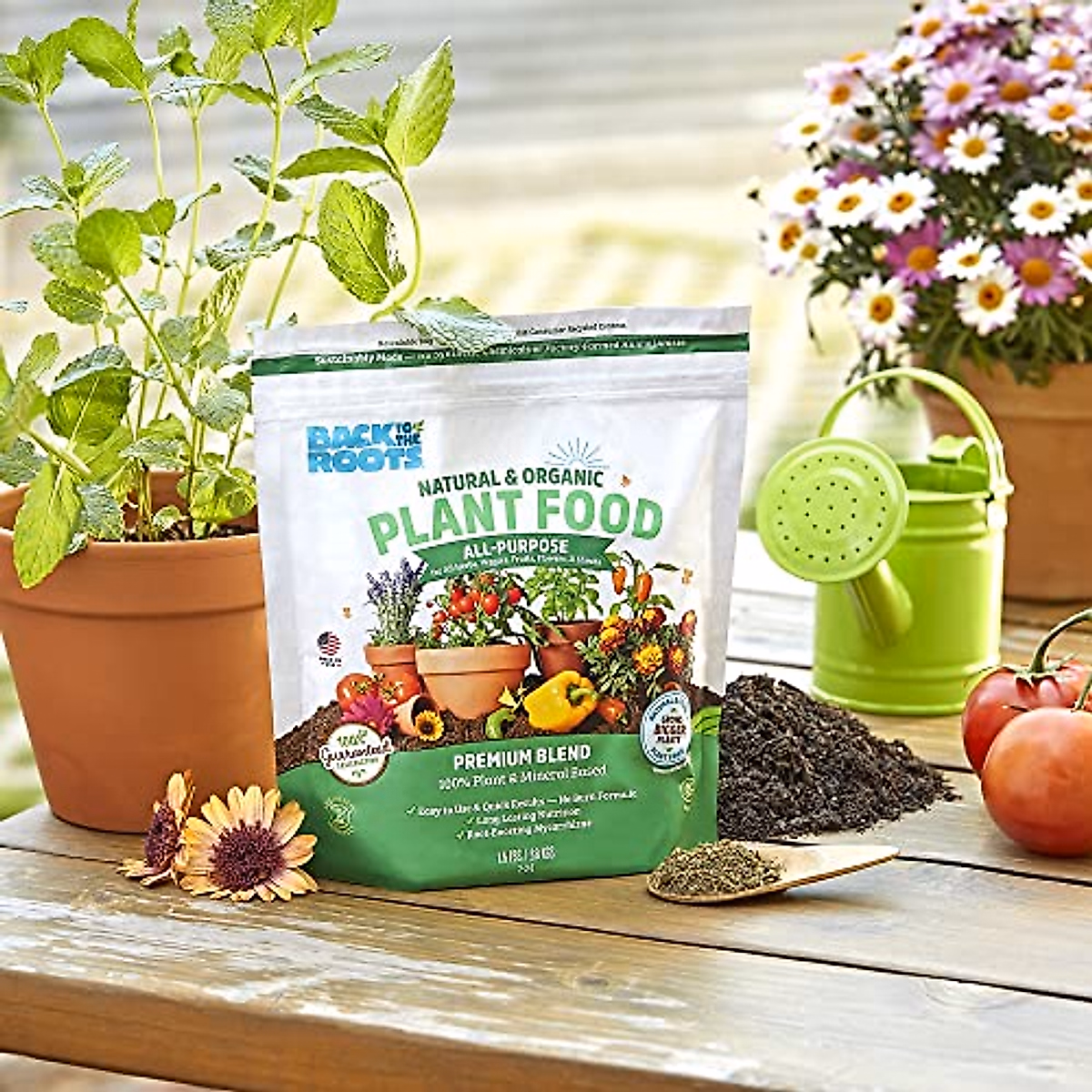 Back to the Roots All-Purpose Plant Food - Organic, Sustainably-Made for Indoor Plants with Kelp and Alfalfa Meal, Mycorrhizae, and Rock Phosphate Minerals - 1.5 lb Premium Blend