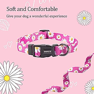 QQPETS Adjustable Soft Dog Collar: Print Flower Pink Multicolor Cute Patterns for XS Small Medium Large Pet Girl Boy Puppy Walking Running Training (M, Small Daisies)