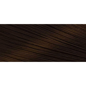 Bigen Speedy Conditioning Color Refill: 5 Deep Chestnut - 3 Pack