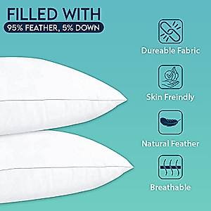 CANVELLO-Exquisite  Down Pillow/Throw Cushion: Feather Pillows Elegance & Art | Iconic Throw Pillows with Ikat Design  | Soft Velvet Silk   (20" x 20”)