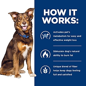 Hill's Prescription Diet Metabolic Weight Management Chicken Flavor Wet Dog Food, Veterinary Diet, 13 Oz (Pack of 12)