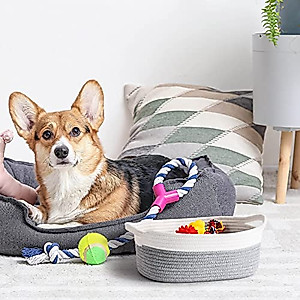 Goodpick Small Woven Basket Cute Gray Rope Basket Cotton Basket Baby Room Storage Basket Dog Toy Basket with Handles Empty Gift Basket for Shelf 12"x 8" x 5" Easter Basket Oval Candy Color Design