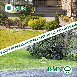 24Pcs Natural Snake Repellent Powerful Snake Away Repellent Balls for Outdoors Indoor, Repel to Snakes Rats and Other Pests, Natural Plant Formula Pest Insect Control