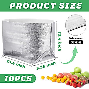 NDSWKR 10 Pack Reusable Insulated Shipping Bags, 13.4 x 13.4 x 8.35 Inch Foil Thermal Box Liners for Frozen and Hot Food, Large Insulated Grocery Bags for Lunch Box Insulation Lining Camping Picnic