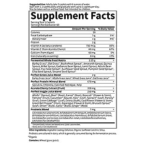 Garden of Life Whole Food Vegetable Supplement - Perfect Food Green Superfood Dietary Supplement, 300 Count