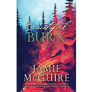 Beautiful Burn: A Novel (The Maddox Brothers Book 4)