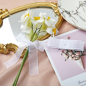 JINGLESTAR 1 Inch Wide Sheer Chiffon Ribbon - Pearl Silk Woven Ribbon Suitable for Gift Wrapping, Wedding Decor, Home Decor, Girl Hair Accessories Handmade DIY (25 Yards/roll) (White)